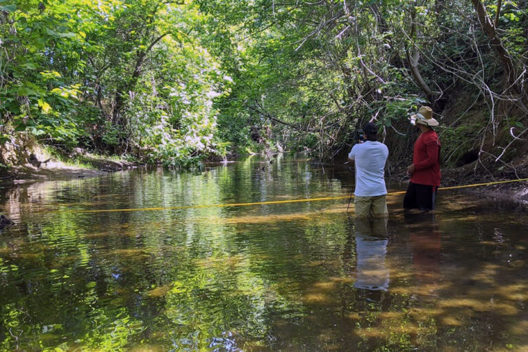 S4W : smartphones4water